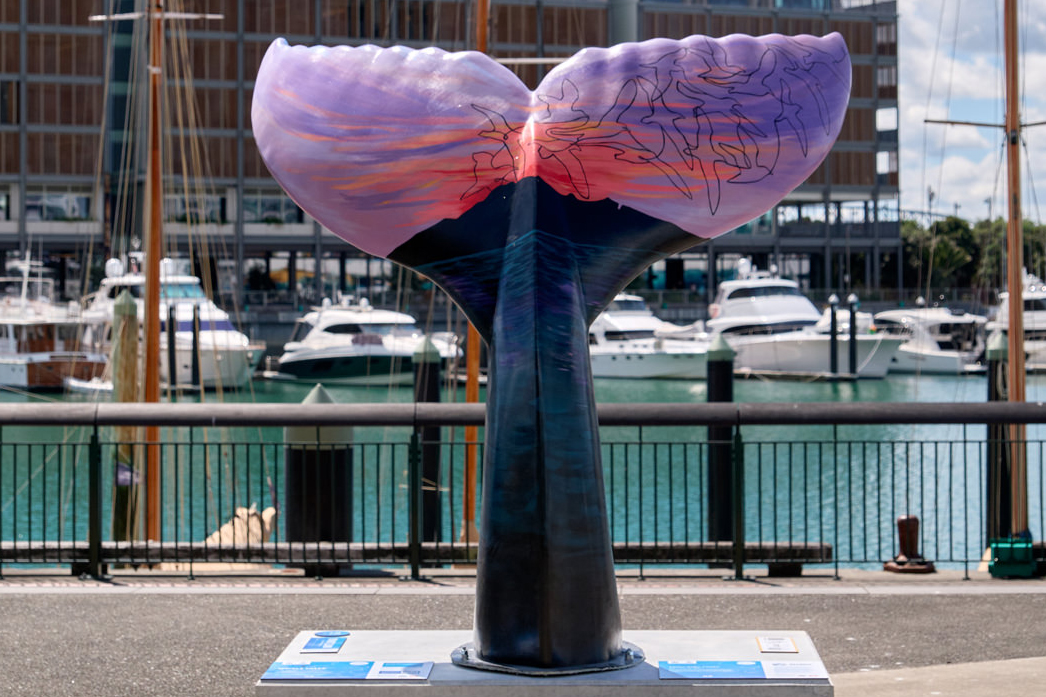 17. 50 Million Years - Whale Tales Sydney 2022